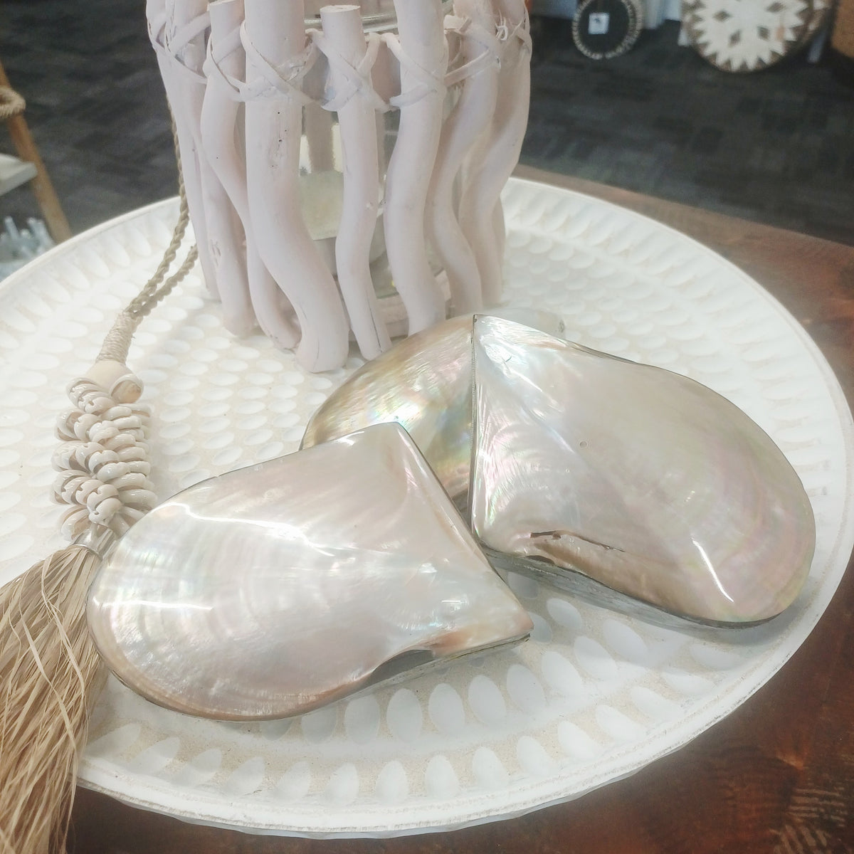 Natural Shell Jewellery Box – Handcrafted Coastal Decor | Home Story NZ